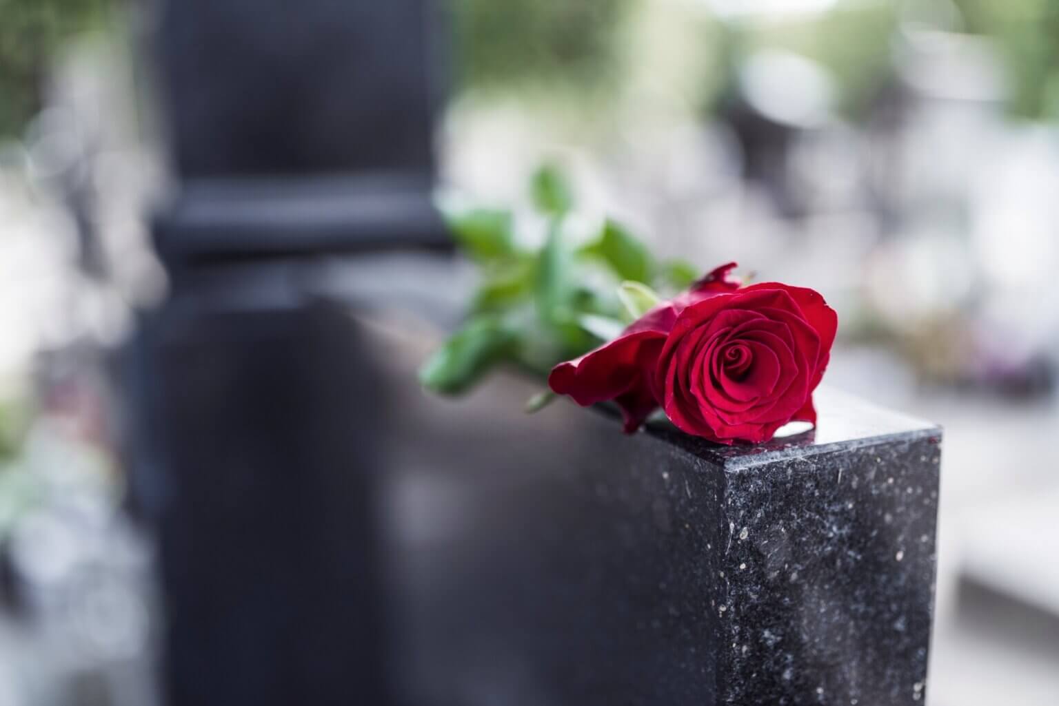 Flowers and Memorial Design - OM Stone